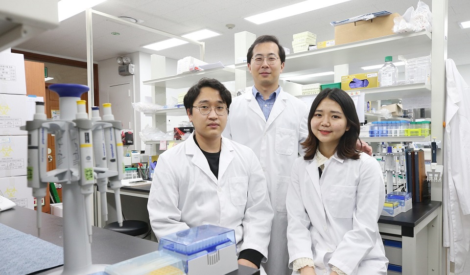 KAIST develops fluorescent signal amplifying tech to detect cancer