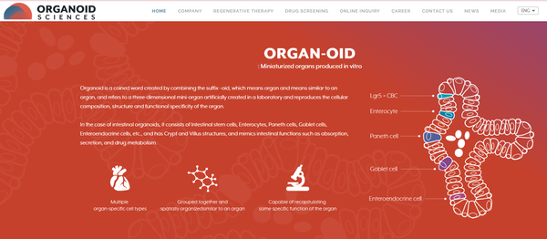 Organoid Sciences secures German public funding for advanced ...