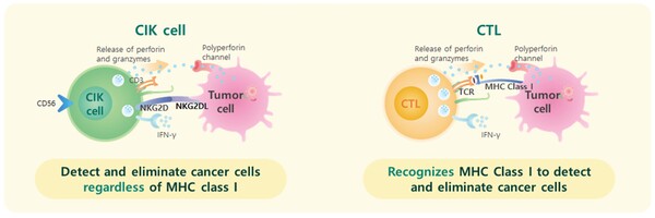GC Cell's ImmunCell-LC shows 68% reduction in HCC recurrence risk