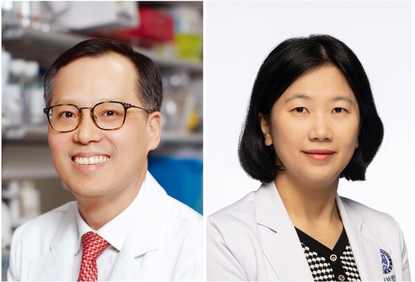Yonsei Cancer Center presents positive P1 results for next-gen KRAS ...