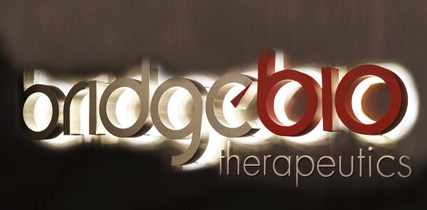 Bridge Bio to wind down new drug biz after acquisition by US investor ...