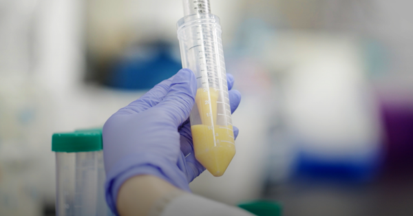 In Korea, fat stem cells are becoming the next big draw for foreign ...
