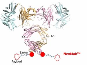 Alteogen ends p-1 clinical trial of breast cancer treatment