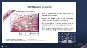 ‘Eloctate’s extended half-life enables personalized hemophilia treatment’
